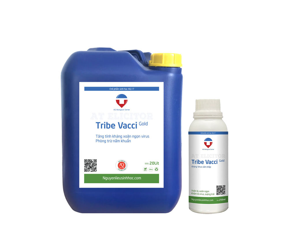 Phòng trừ xoăn ngọn, xoắn lá, sượng trái - Tribe Vacci gold