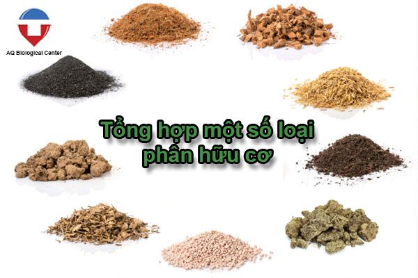 Cách ủ phân hữu cơ từ lá cây, rơm rạ đơn giản, hiệu quả