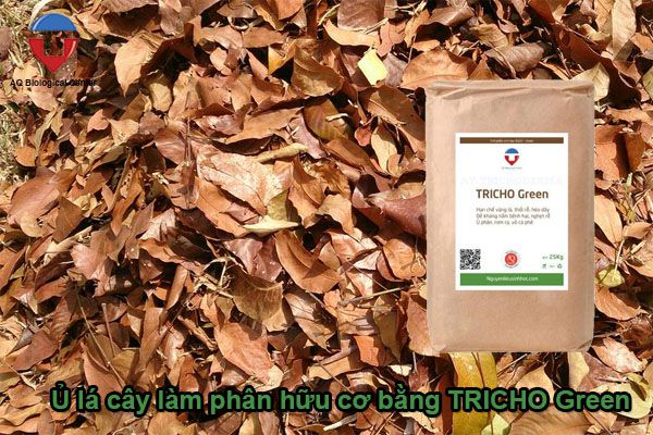 Cách ủ phân hữu cơ từ lá cây, rơm rạ đơn giản, hiệu quả