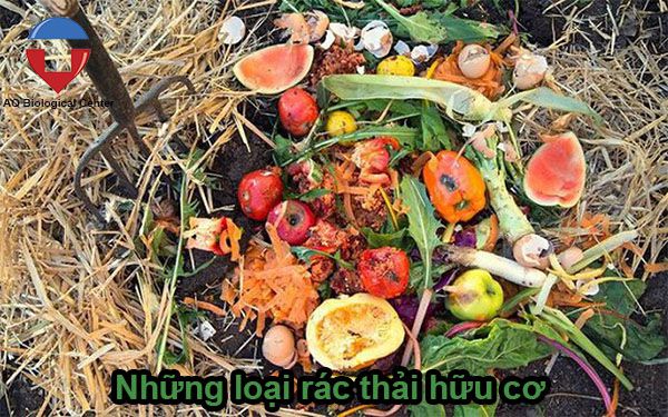 Rác thải hữu cơ là gì? Phân loại và xử lý rác hữu cơ tại nhà